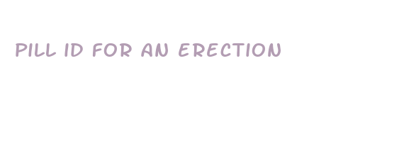Pill Id For An Erection - Fuyao Glass America