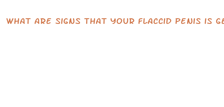 What Are Signs That Your Flaccid Penis Is Getting Bigger - Fuyao Glass ...
